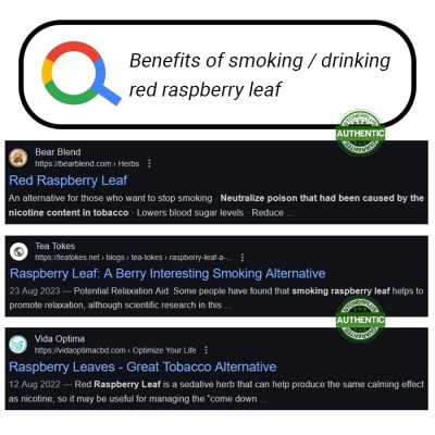 RollingHerbs Organic Red Raspberry Leaves - Stonerplus - Selangor, Malaysia
